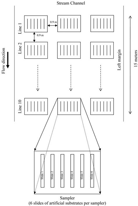 Schematic Representation Of The Sampling Design At The Sampling Site Download Scientific