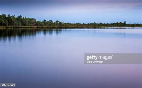 Ohlweiler Photos And Premium High Res Pictures Getty Images