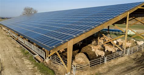 Agrivoltaics Dual Benefits For Farming And Renewable Energy