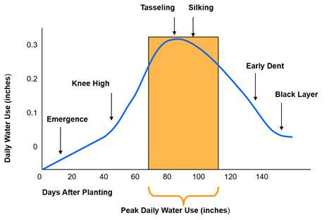 Reasons For Variable Corn Yield Golden Harvest
