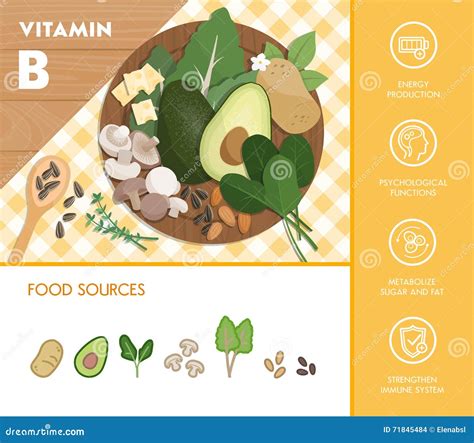 Food And Vitamins Stock Vector Illustration Of Nutrition 71845484