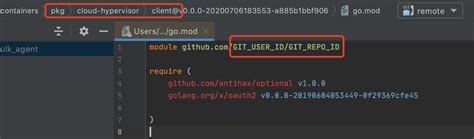 Module Error In Gomod · Issue 2834 · Kata Containersruntime · Github