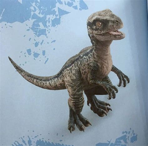 Blue Jurassicworld Velociraptor Beta Cute Blue Jurass