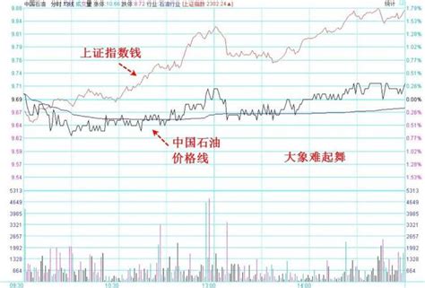 老股民自述：为什么盯盘久了会产生“盘感”？能更好的躲过大跌？ 搜狐大视野 搜狐新闻