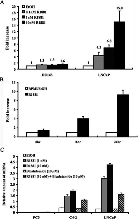 A Lncap And Du145 Cells Were Treated With R1881 At Indicated