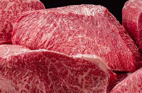 Gwお台場で10周年記念の「肉フェス The カーニバル 2023」行列必至の肉店舗25店が出店決定！～真の【no1ブランド牛】と【no1