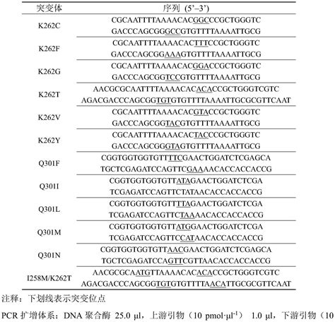 7α 羟基类固醇脱氢酶突变体及其在7 氧代 石胆酸合成中的应用