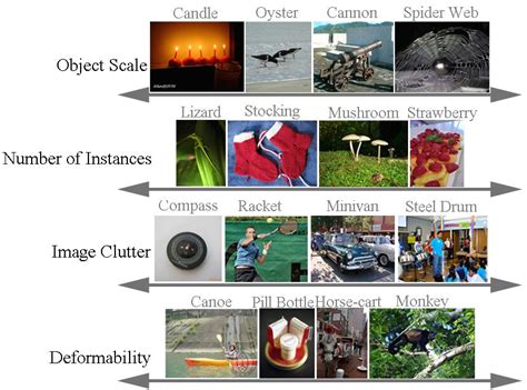 imagenet large scale visual recognition challenge deepai
