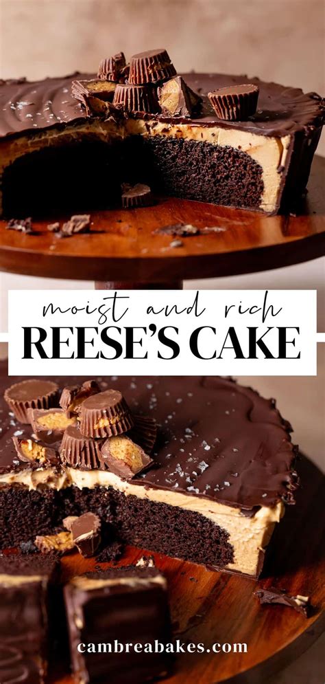 Reeses Cake Cambrea Bakes