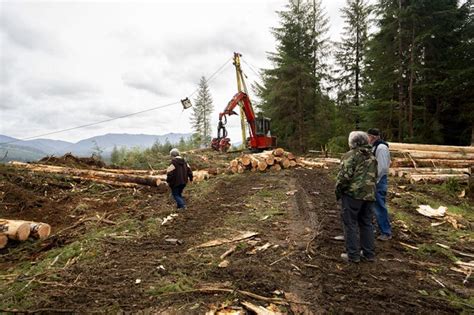 About The Forks Logging And Mill Tour