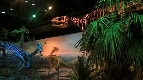 Edmontosaurus And Albertosaurus By Cmipalaeo On Deviantart