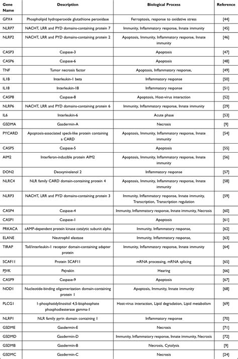 Identification Of A Novel Pyroptosis Related Gene Signature Indicative Ijgm