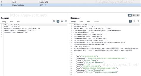 Обход проверки Ssl сертификата в приложении Go Golang
