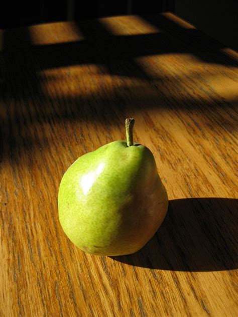 Tips And Information About Pear Trees Gardening Know How