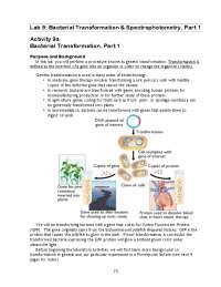 Lab Bacterial Transformation Docsity