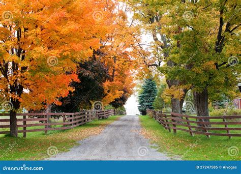 Autumn Country Road