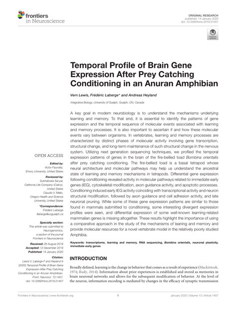 Pdf Temporal Profile Of Brain Gene Expression After Prey Catching Conditioning In An Anuran