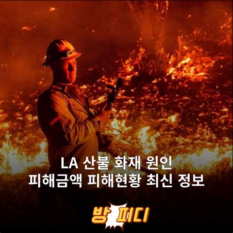 La 산불 화재 원인 피해 현황 공항 위치 지도 최신 정보 네이버 블로그