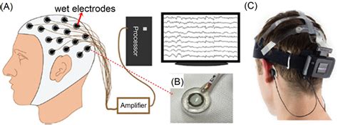 Sustainable Development Of Electroencephalography Materials And