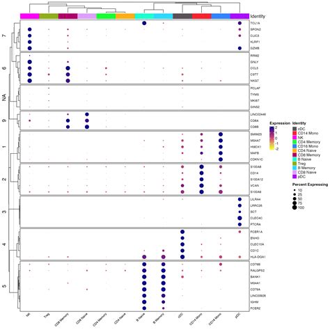 How To Use Umap Transform On A Single Cell Dataset Seurat Using Seurat Workflow • Flscuts