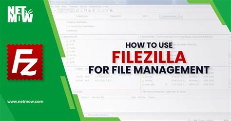 How To Use Filezilla For File Management Cloud Computing Services Qld