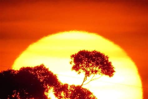 Heatwave Tips Trina Massey