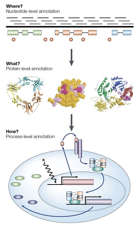 注釈ジャンボリー Annotation For Education