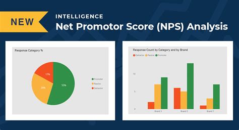 Intelligence 12 Net Promoter Score Nps Analysis Additional Fields