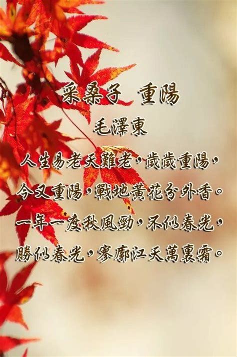 读书的好处诗句读书有益人生诗句 成语词句网