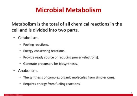 Solution Electron Transport Chain And Enzyme Terminology Microbiology