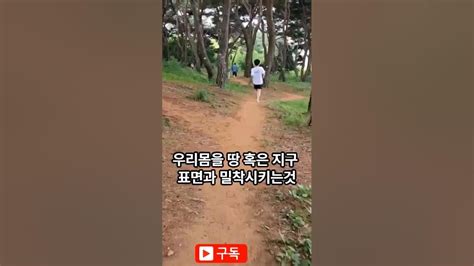 소나무숲 황토 맨발걷기가 기적인 이유 6가지shorts Youtube
