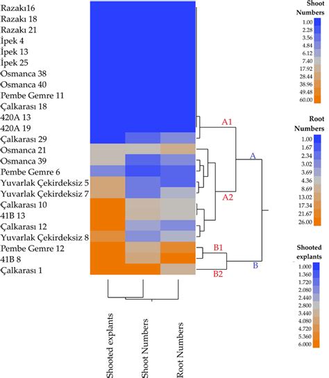 The Clustering Of Clones Is Based On The Numbers Of Explants With Download Scientific Diagram