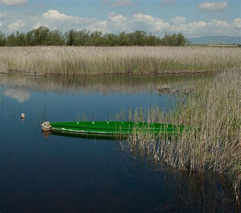 Parque Nacional Las Tablas De Daimiel Daimiel Turismo