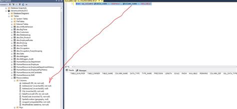 Stored Procedures Sql Server Spcolumn Not Considering Columnname