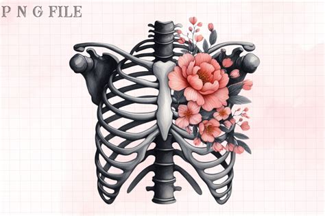Floral Ribcage Clipart Png Graphic By Vertex · Creative Fabrica