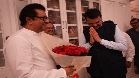 देवेंद्र फडणवीसांनी घेतली राज ठाकरेंची भेट भाजपने मोठी ऑफर दिल्याची