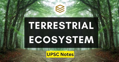 Terrestrial Ecosystem