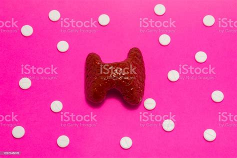 해부학적 원본에 해당하는 갑상선의 모델 이나 그림은 물방울 무늬로 장식 된 흰색 알약으로 둘러싸인 분홍색 배경에 있습니다