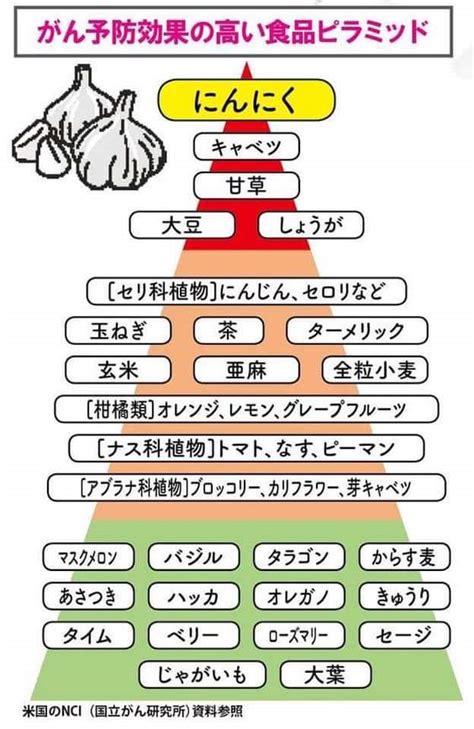 アメリカが40年位前に発表した「がん予防」の食品 勝率を上げる整体師 からだのイタコ～body Voice～