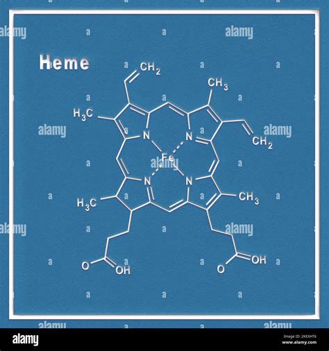 Heme Molecule Structural Chemical Formula On A White Background Stock