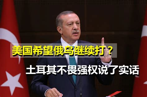 有北约国家希望俄乌继续打土耳其不畏强权说实话矛头直指美国 凤凰网视频 凤凰网