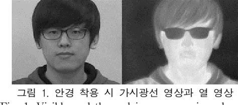 Figure From Robust Face Recognition Against Illumination Change Using Visible And Infrared