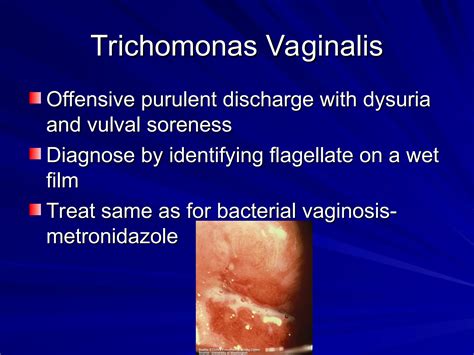 Benignlesionsofthecervixvaginaandvulva 120205030502 Phpapp02ppt