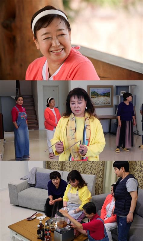 장미화 연예계 계모임 계주가 거액 들고 도주혜은이도 피해 같이 삽시다 나무뉴스