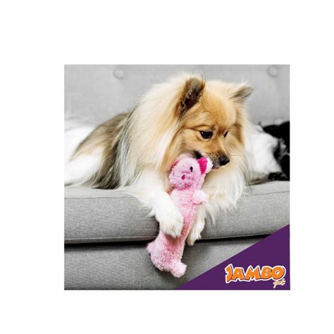 Pelucia Barriguinha Plush Porco Jambo Aunimô