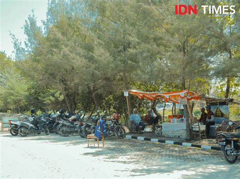 12 Foto Mangrove Gunung Anyar Alternatif Liburan Gratis Di Surabaya
