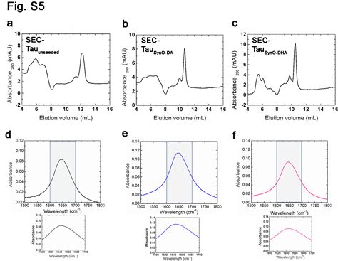 Polymorphic α Synuclein Strains Modified by Dopamine and
