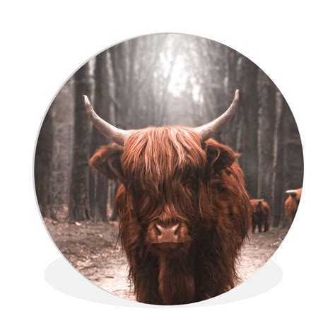 Muchowow Gemälde Schottischer Hochländer Wald Kuh Tiere Natur
