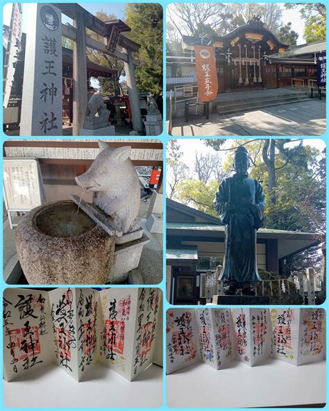 Kazu k on Twitter 護王神社 京都市上京区 御所の隣りに鎮座し祭神は和気清麻呂公で 足腰の怪我病気にご利益があります