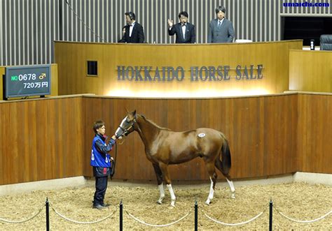 サマーセール2011上場馬